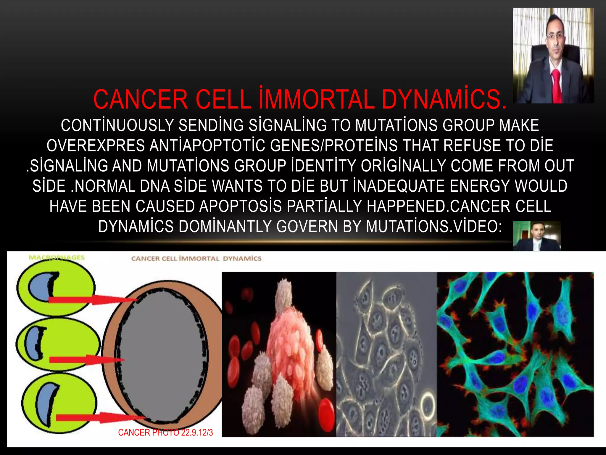 Cancer cell i̇mmortal dynami̇cs photos 13. | PPT
