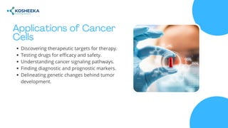 Cancer Cell Line: Cornerstone of Cancer Research | PDF