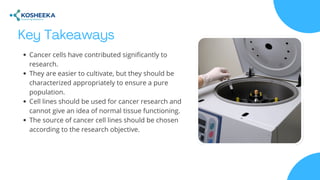 Cancer Cell Line: Cornerstone of Cancer Research | PDF