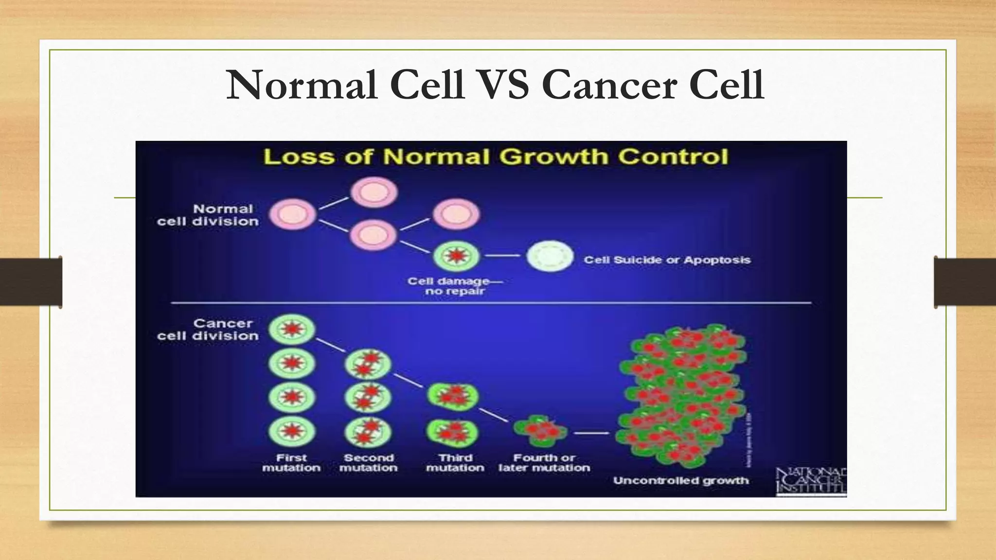 Cancer cell metabolism | PDF