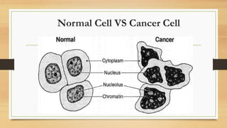 Cancer cell metabolism | PDF