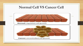Cancer cell metabolism | PDF
