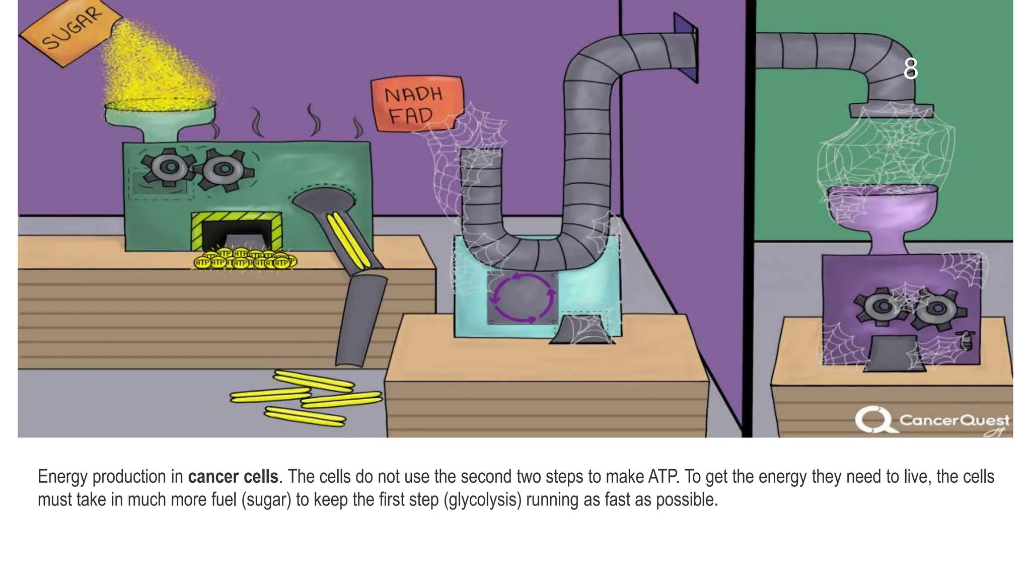 Cancer cell metabolism: special Reference to Lactate Pathway | PPTX ...