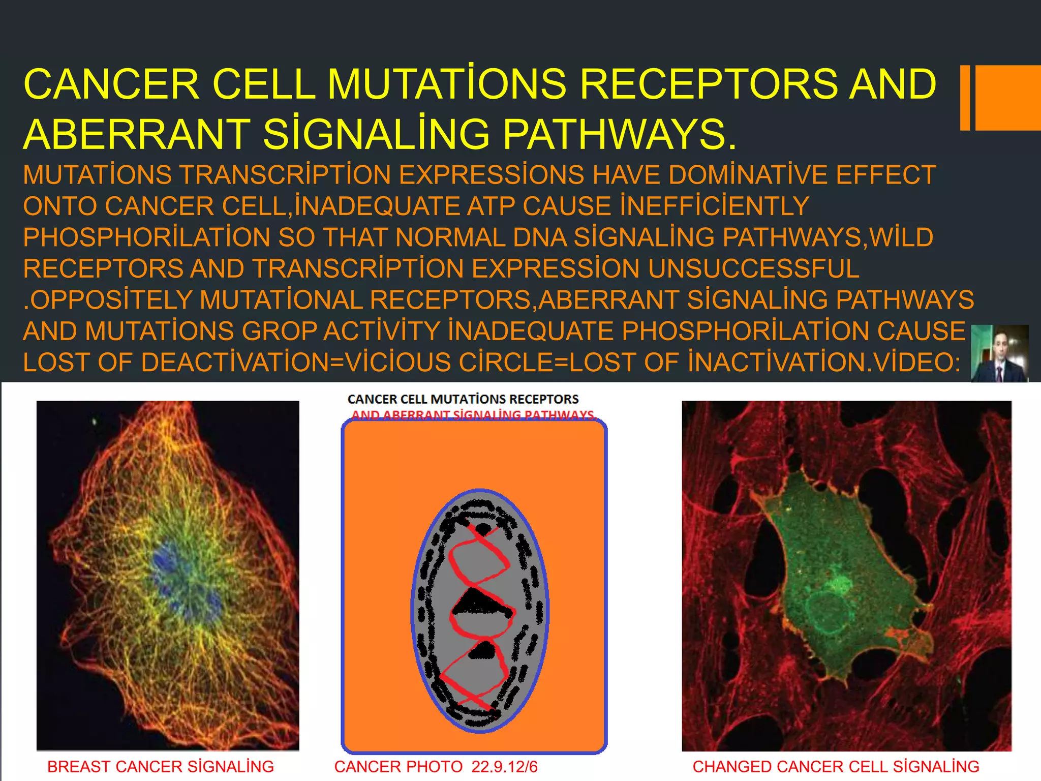 Cancer cell mutati̇ons receptors and aberrant si̇gnali̇ng pathways ...