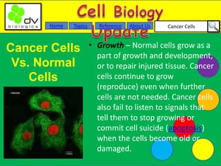 Cancer cells | PPT
