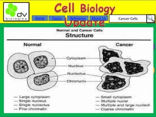 Cancer cells | PPT