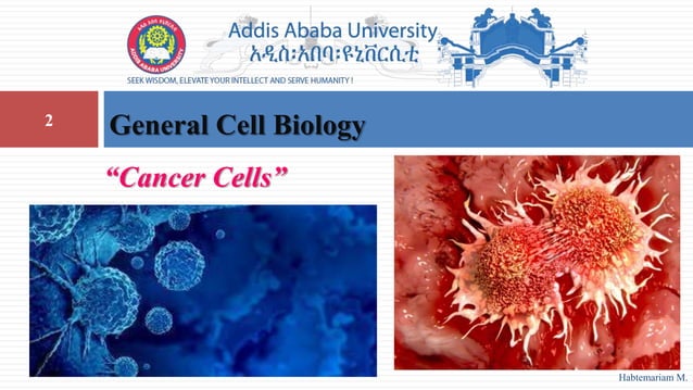 Cancer Cells | PPT