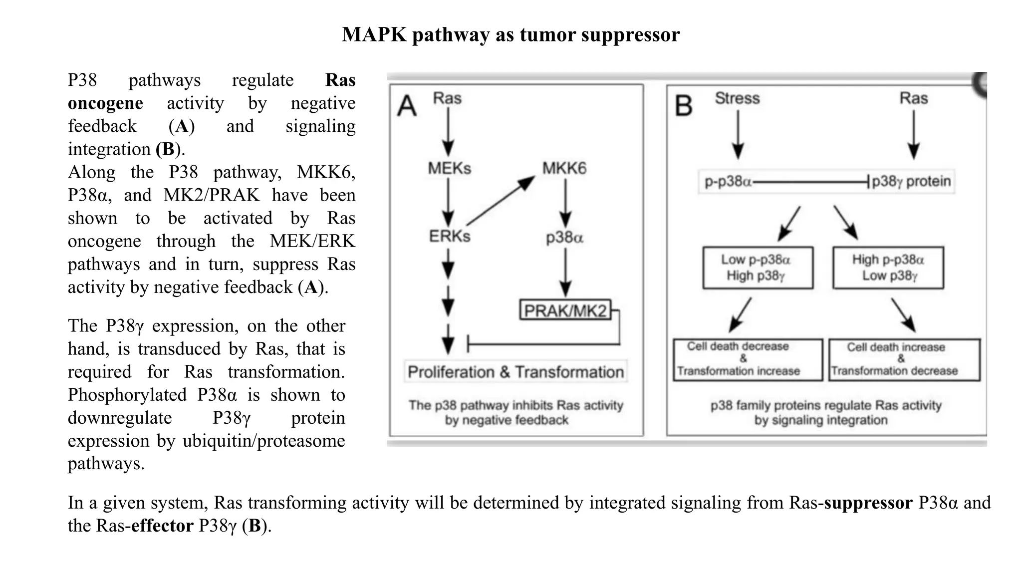 Cancer cell signaling and its mechanisms.pptx