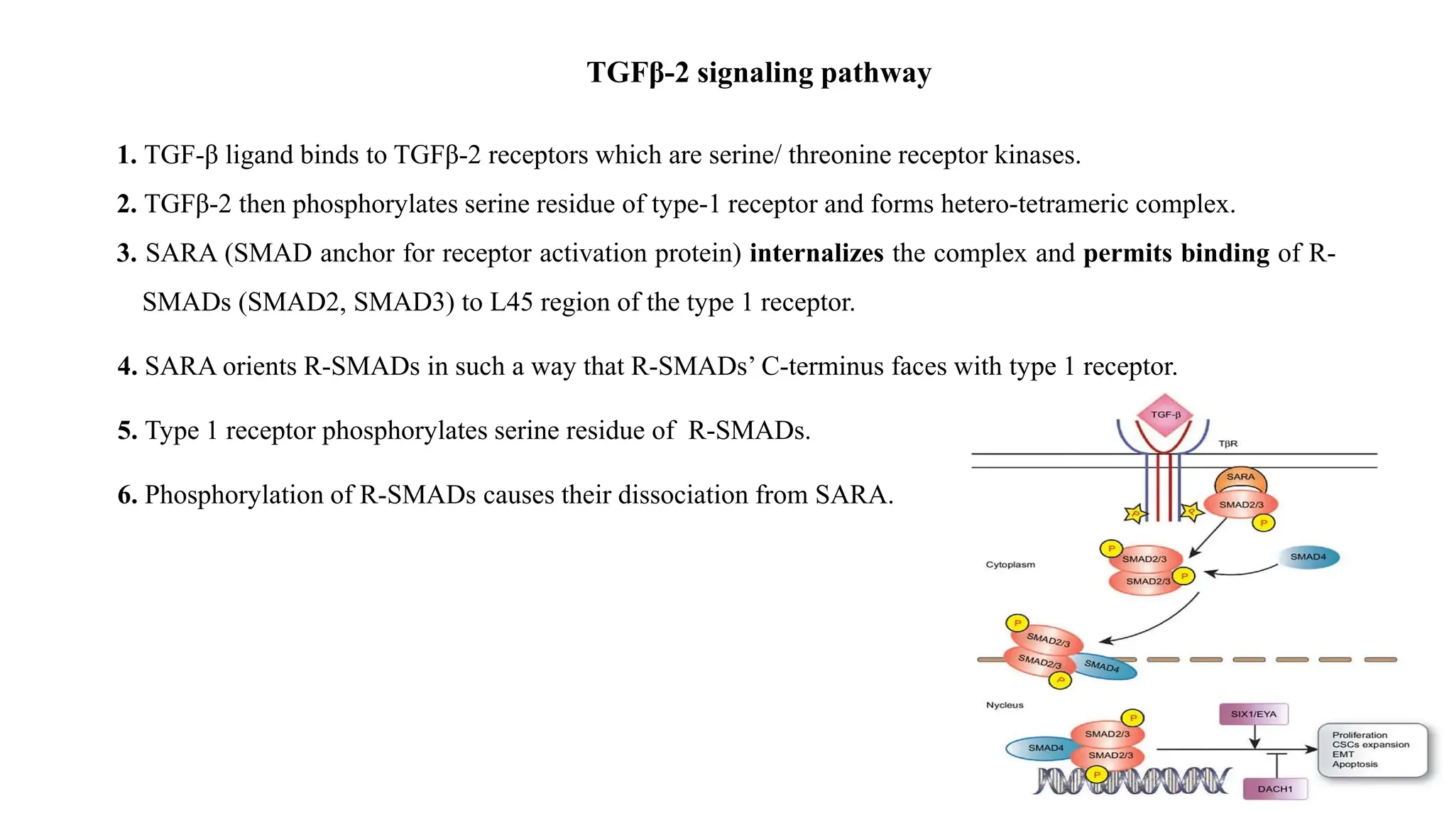 Cancer cell signaling and its mechanisms.pptx