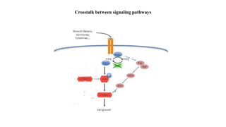 Cancer cell signaling and its mechanisms.pptx