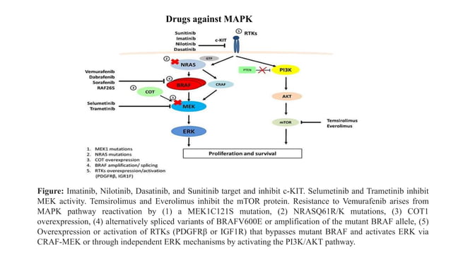 Cancer cell signaling and its mechanisms.pptx | Endocrine and Metabolic Diseases | Diseases and ...