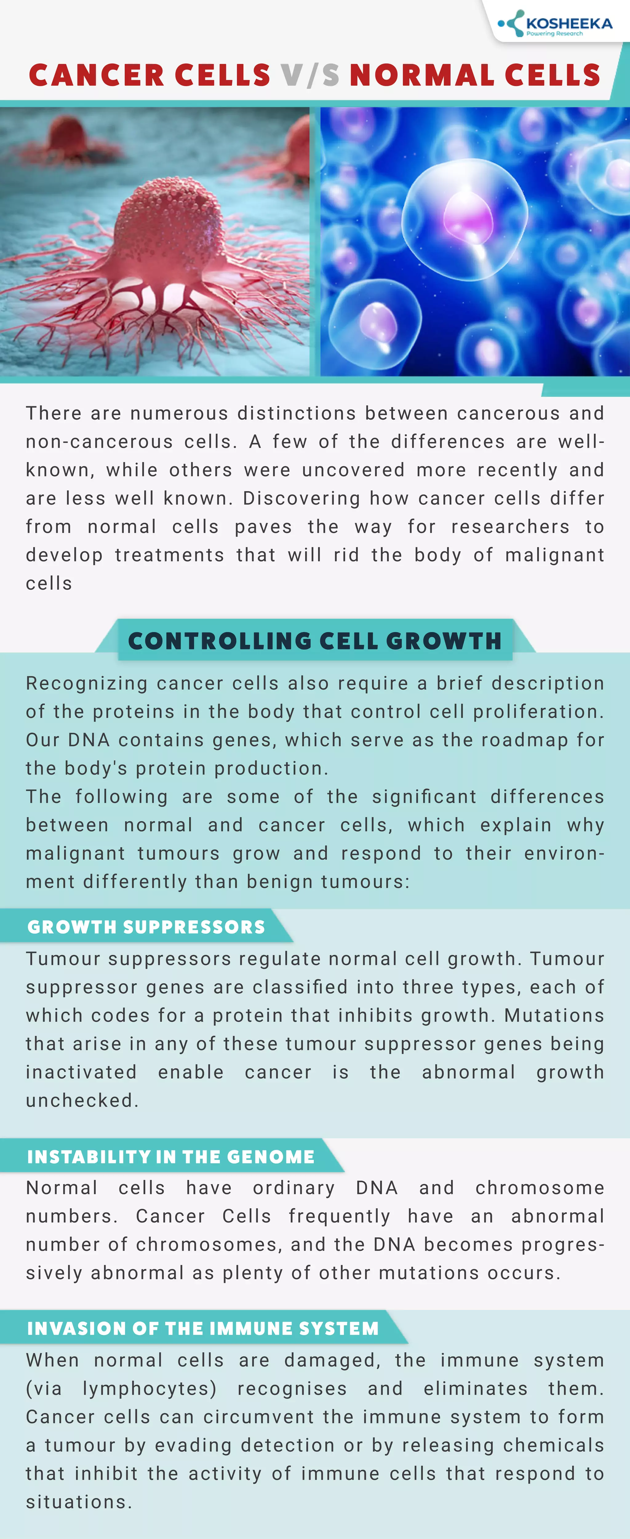 Cancer Cells VS Normal Cells.pdf