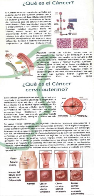 Cancer cervicouterino , Triptico. | PDF | Cancer | Diseases and Conditions