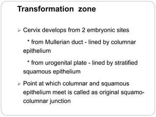 Cancer cervix screening | PPTX