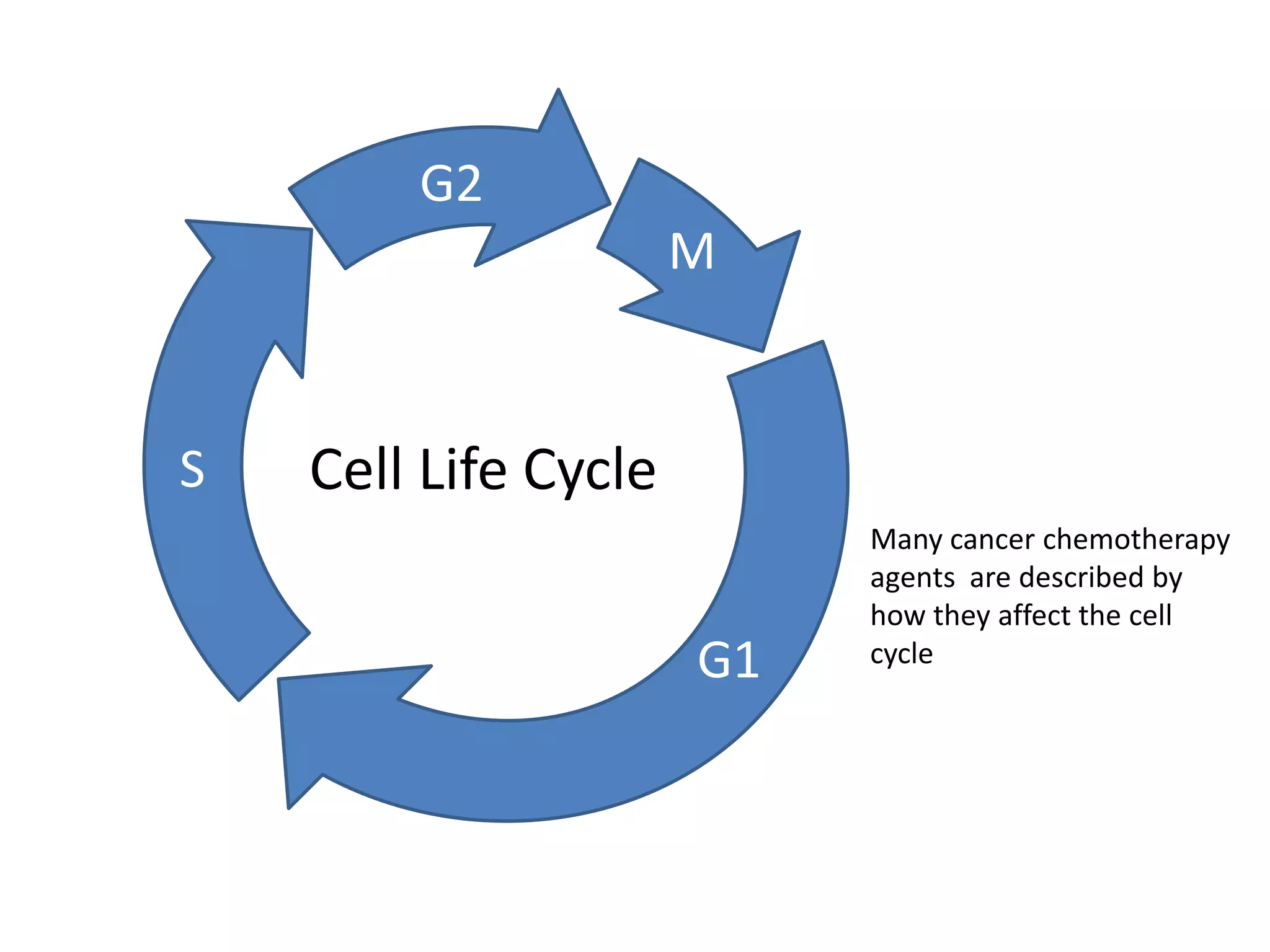 Cancer chemotherapy | PPTX