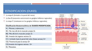cancer colorectal, epidemiologia, métodos diagnósticos | PPTX