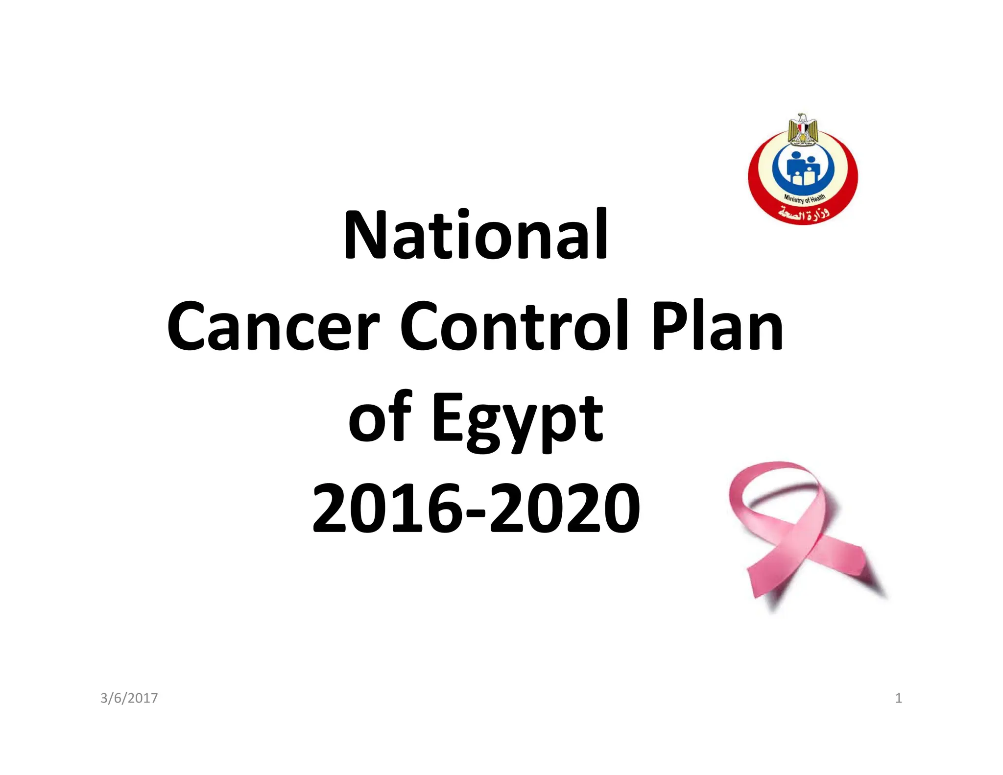 Cancer Control Plan.pdf