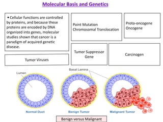 Cancer CSIR-NET.pptx