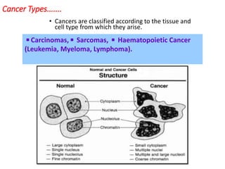 Cancer CSIR-NET.pptx