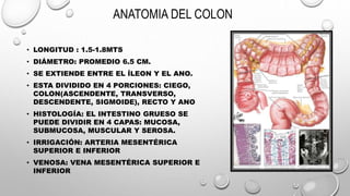 Cancer de colon 2 | PPTX