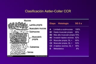 Cancer de colon epidemiologia | PPT