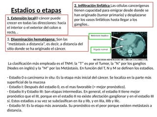 CANCER DE COLON Y RECTO Causas y factores de Riesgo | PPTX