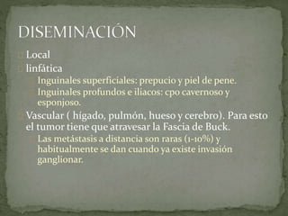 Cancer de pene | PPTX