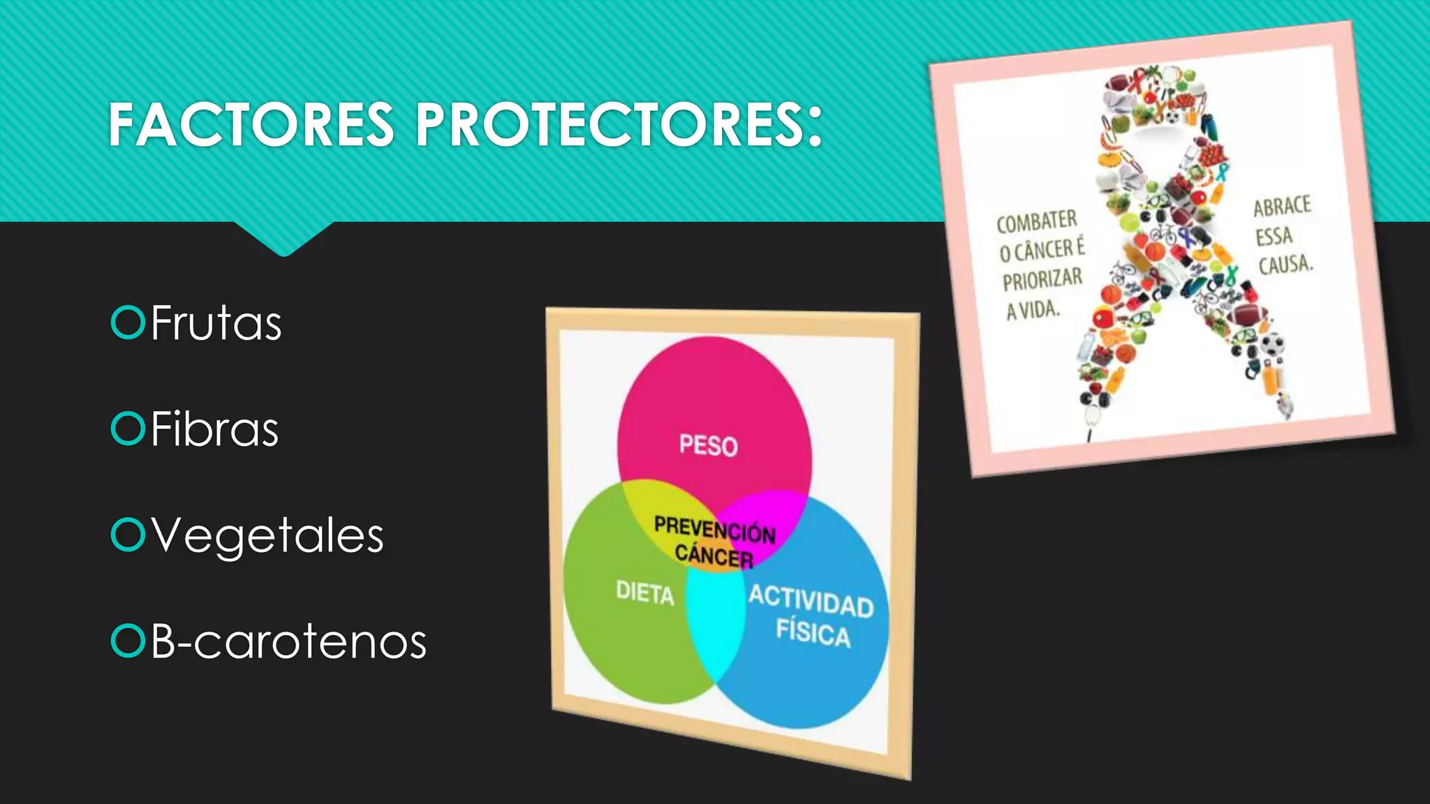 Cancer De Pulmon Exposicion Ppt