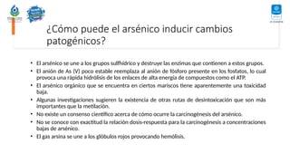 CANCER DE PULMON POR ARSENICO DIAPOSITIVAS.pptx