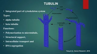 CANCER TREATMENT: ROLE OF EGFR, TOPOISOMERASE AND TUBULIN | PPT