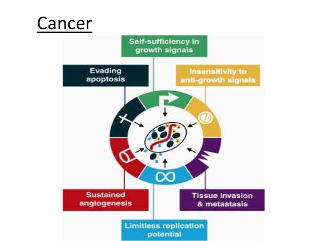 Epigenetics And Cancer