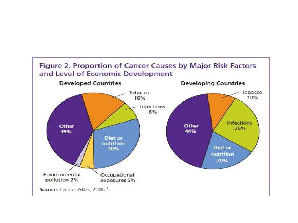 Cancer Epidemiology