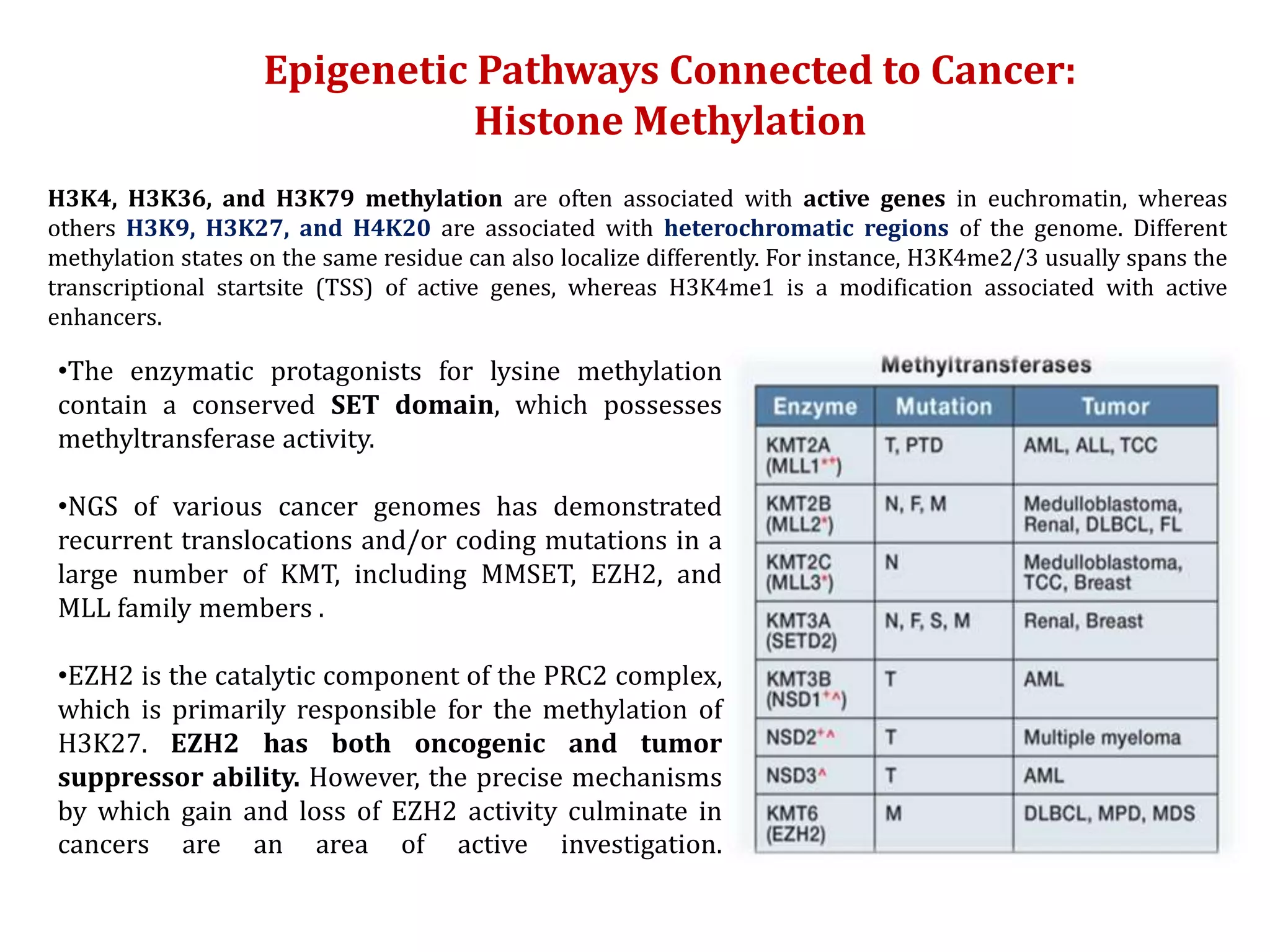 Cancer Epigenetics: Concepts, Challenges and Promises | PPTX