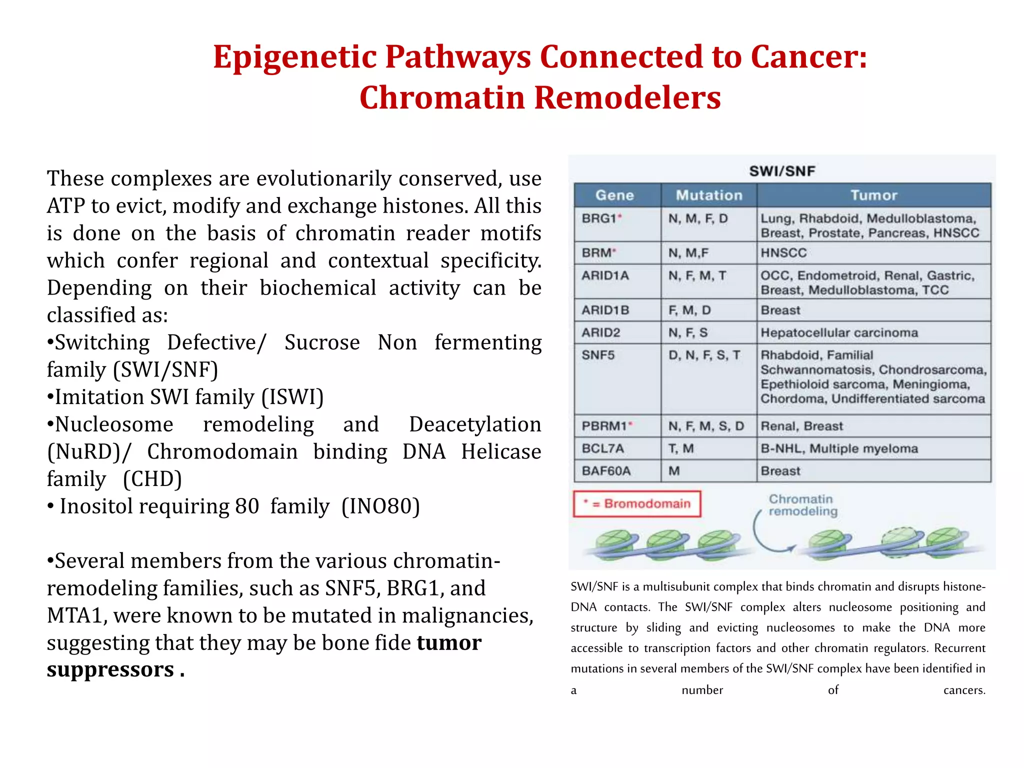 Cancer Epigenetics: Concepts, Challenges and Promises | PPTX