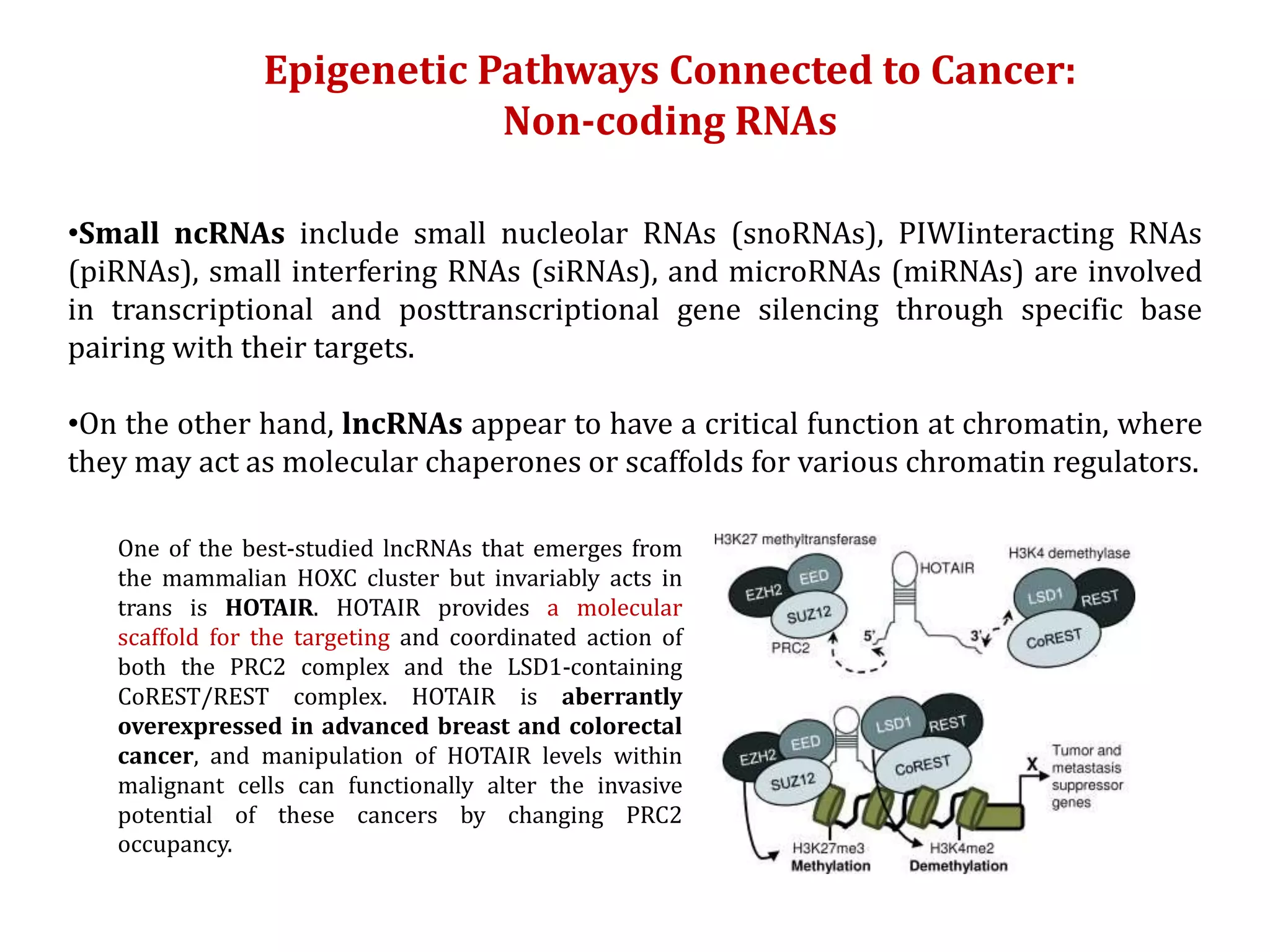 Cancer Epigenetics: Concepts, Challenges and Promises | PPTX