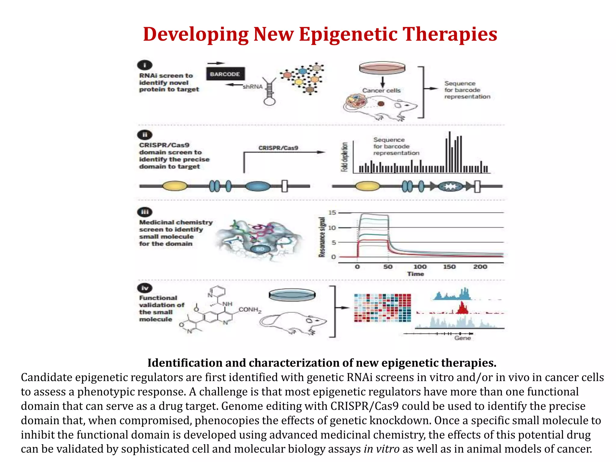 Cancer Epigenetics: Concepts, Challenges and Promises | PPTX