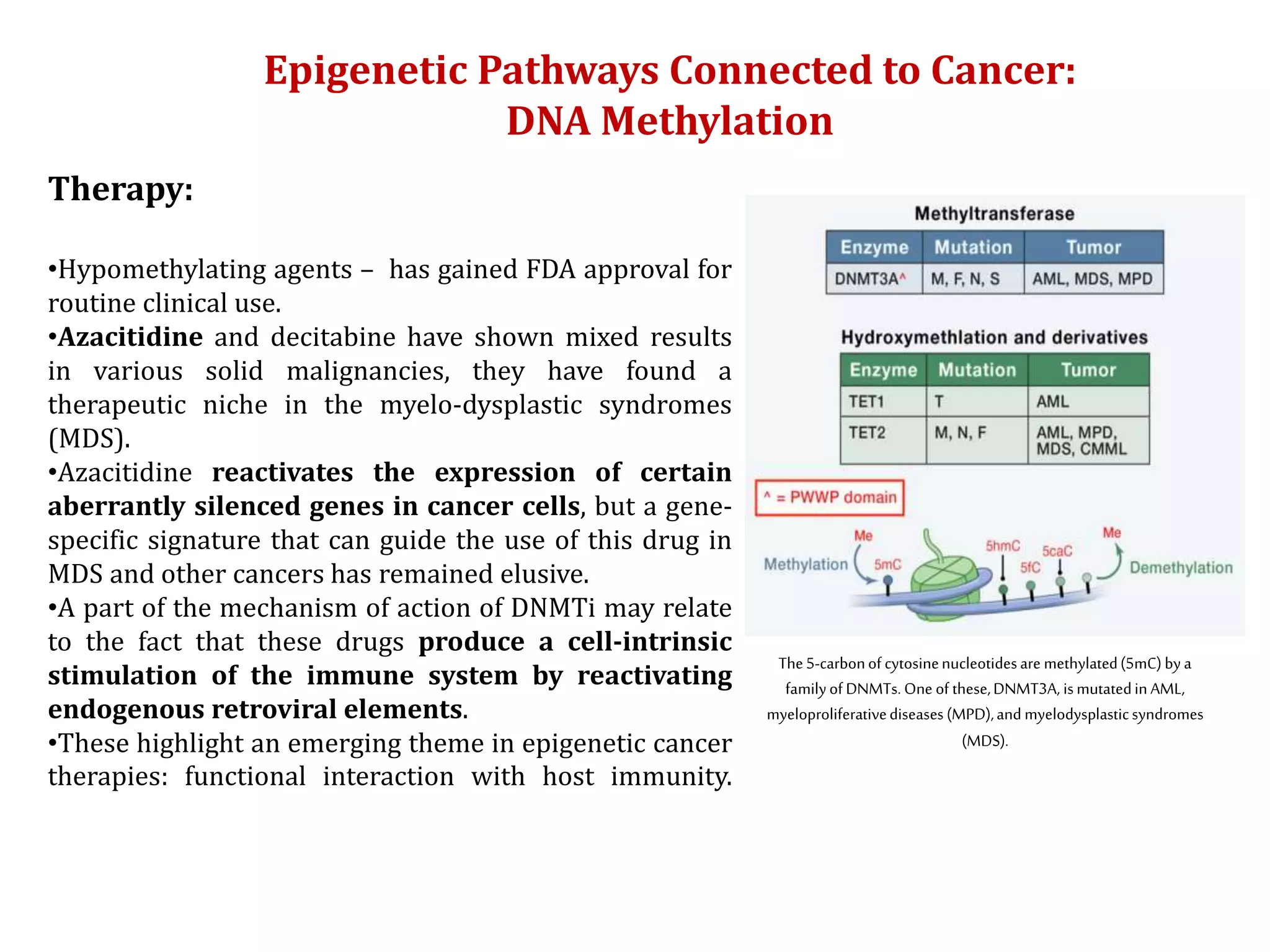 Cancer Epigenetics: Concepts, Challenges and Promises | PPTX