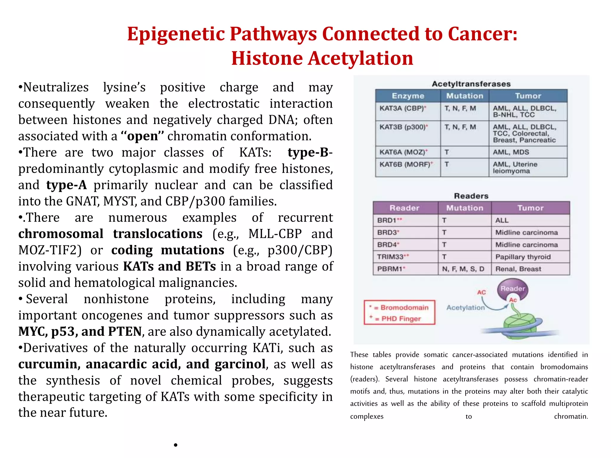 Cancer Epigenetics: Concepts, Challenges and Promises | PPTX