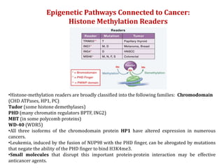 Cancer Epigenetics: Concepts, Challenges and Promises | PPTX