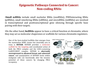 Cancer Epigenetics: Concepts, Challenges and Promises | PPTX