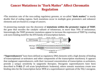 Cancer Epigenetics: Concepts, Challenges and Promises | PPTX