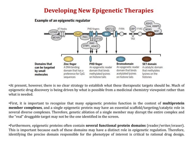 Cancer Epigenetics: Concepts, Challenges and Promises | PPTX | Genetics | Science