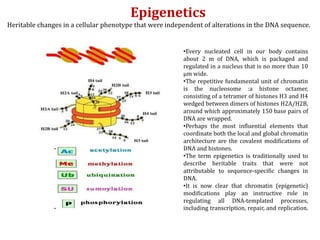 Cancer Epigenetics: Concepts, Challenges and Promises | PPTX