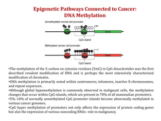 Cancer Epigenetics: Concepts, Challenges and Promises | PPTX