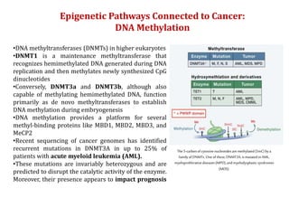 Cancer Epigenetics: Concepts, Challenges and Promises | PPTX