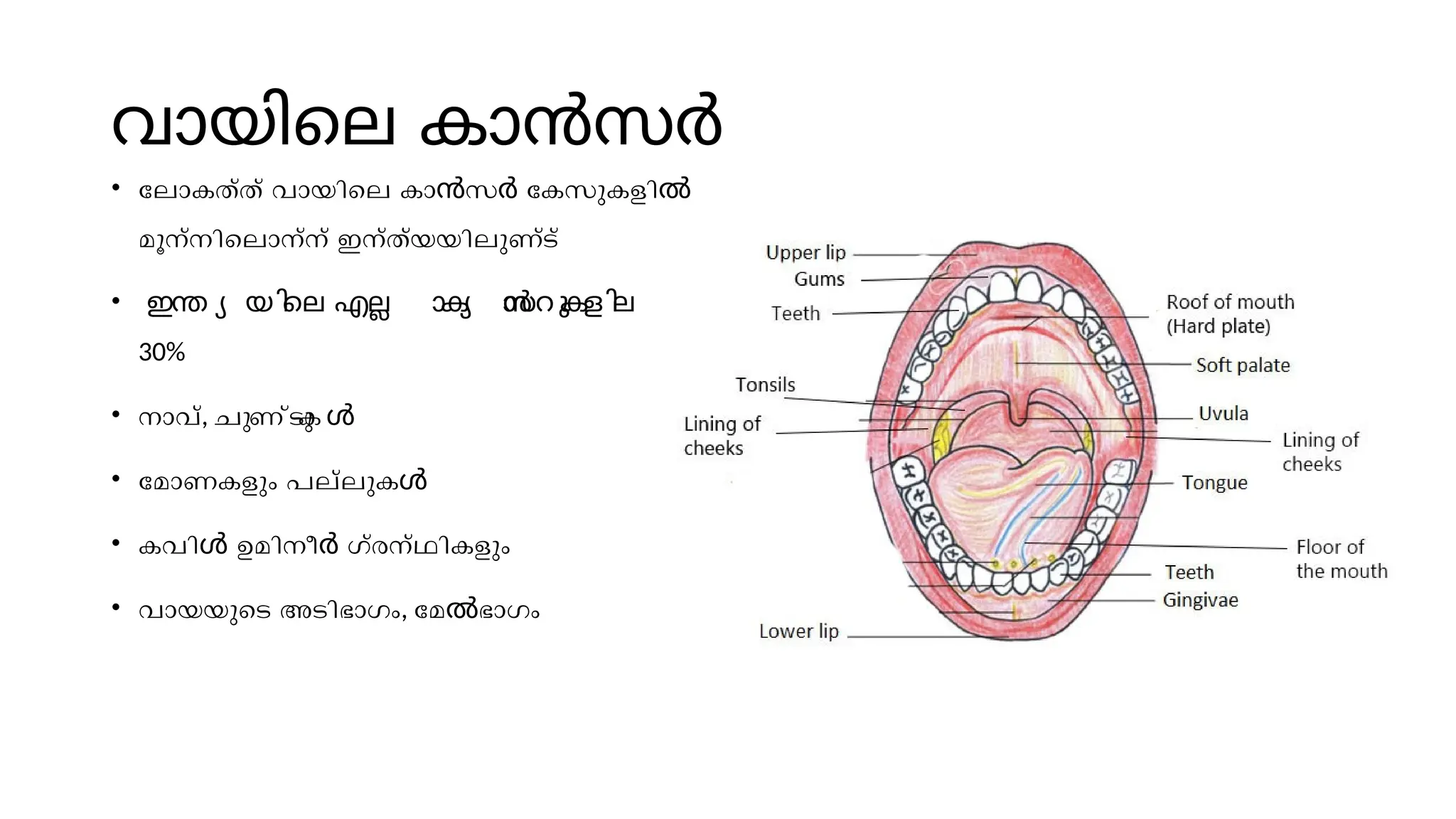 Cancer Ernakulam PPT for training copy.pptx