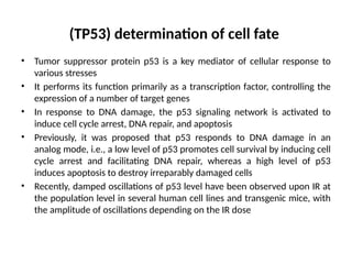 Cancer Gene Pathways : tp53 the guardian of the genome | PPT