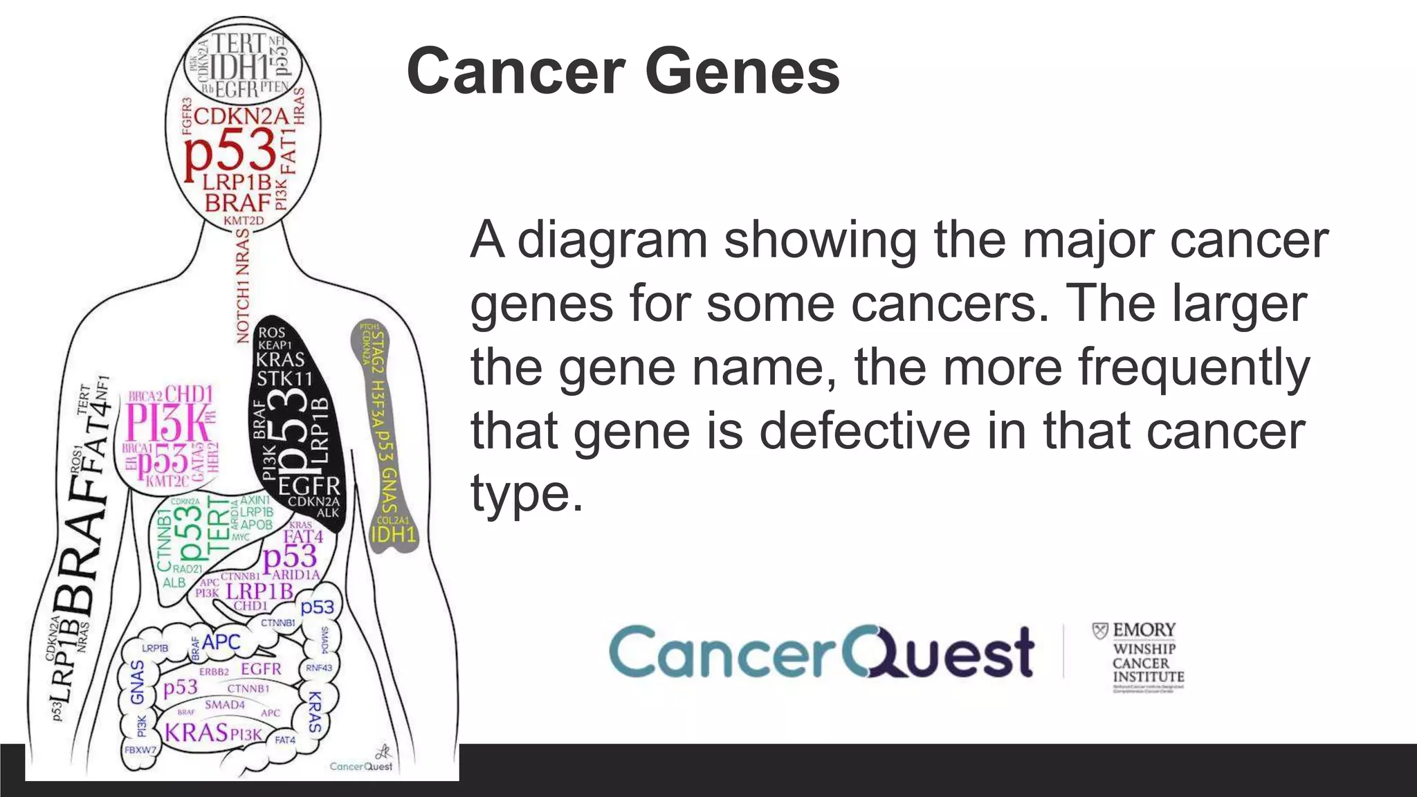 Cancer genetics | PPTX