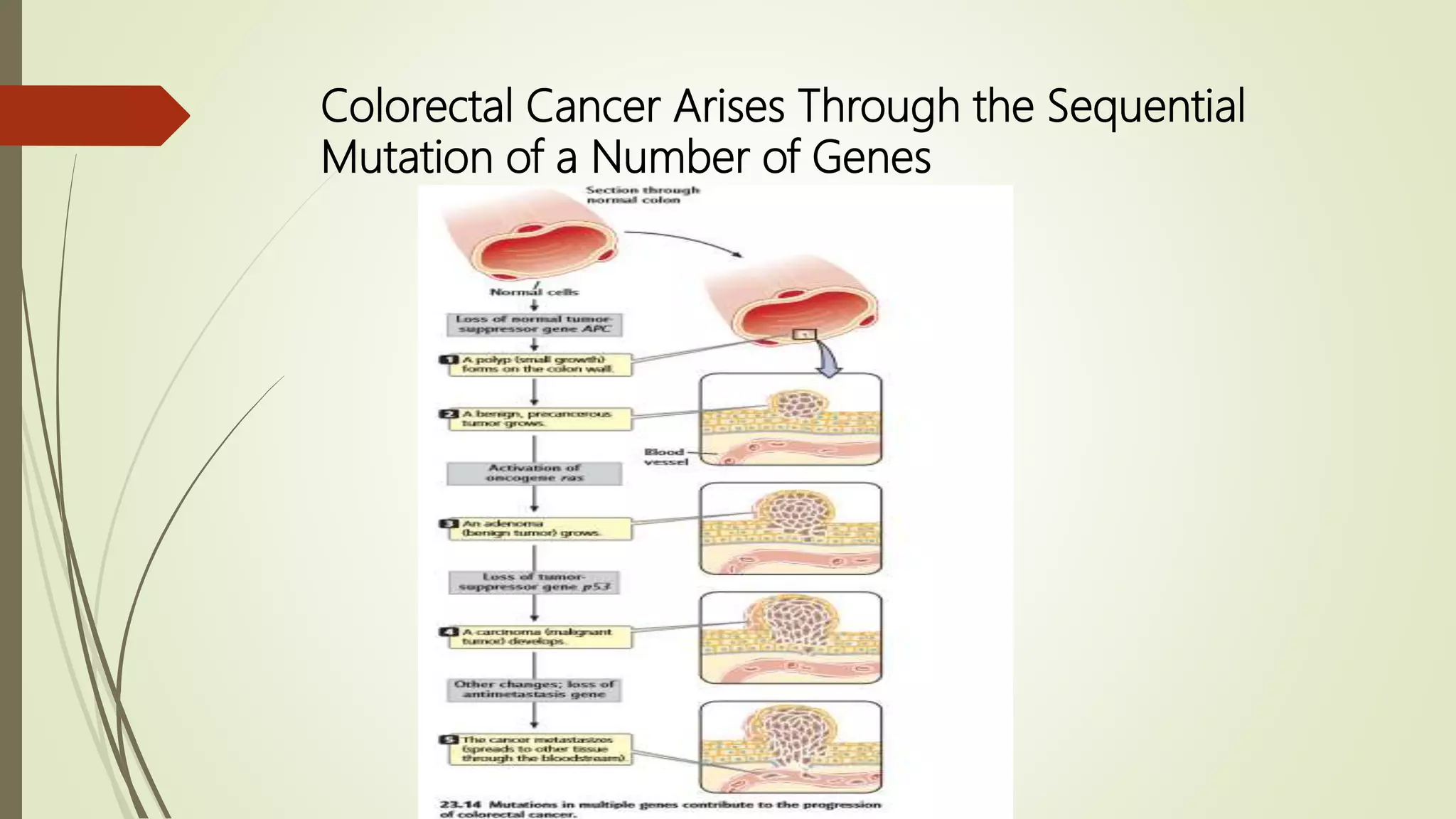 Cancer genetics and diagnosis | PPTX