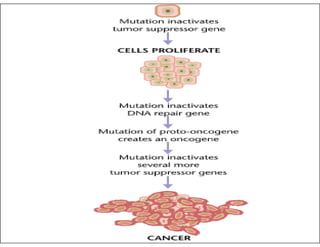 cancer genetics familial cancer.pdf